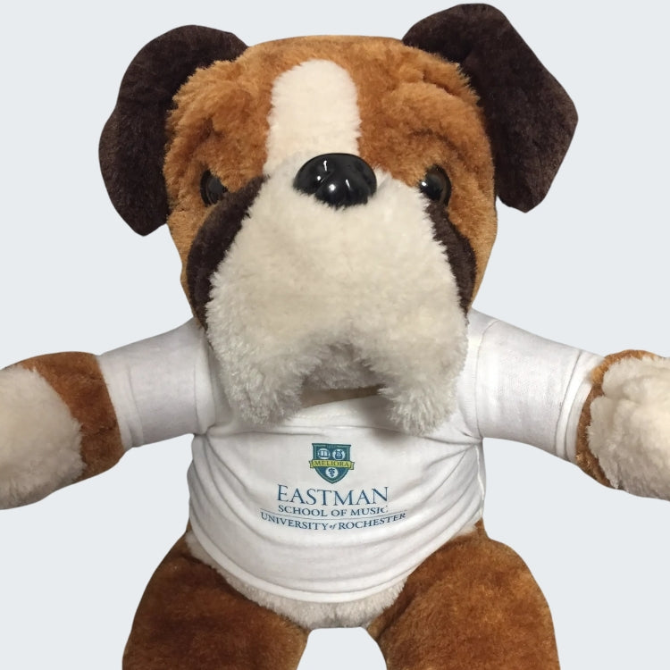 Stuffed Animal Plush DIY | College & University Event Novelties – Blue ...